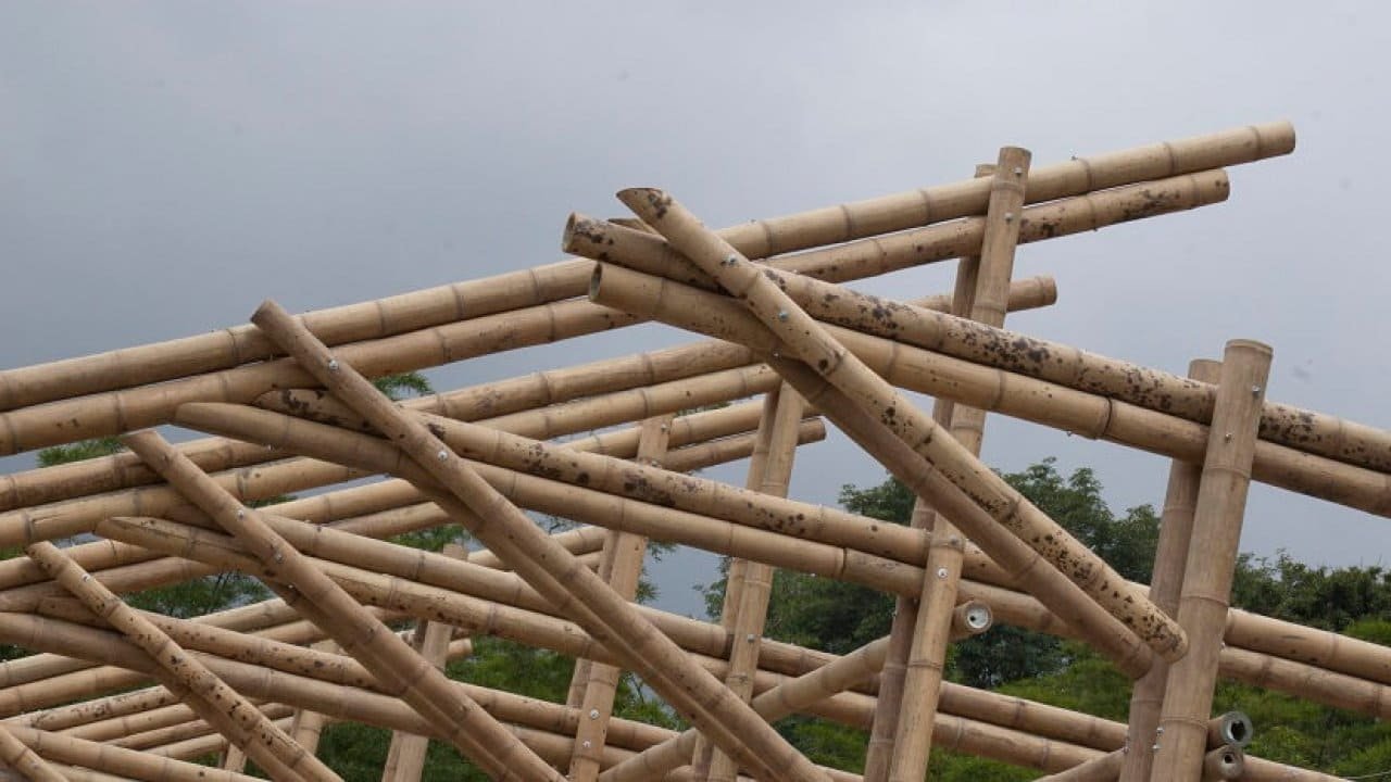 CASAS de BAMBÚ: Datos sobre el bambú y ejemplos de construcciones